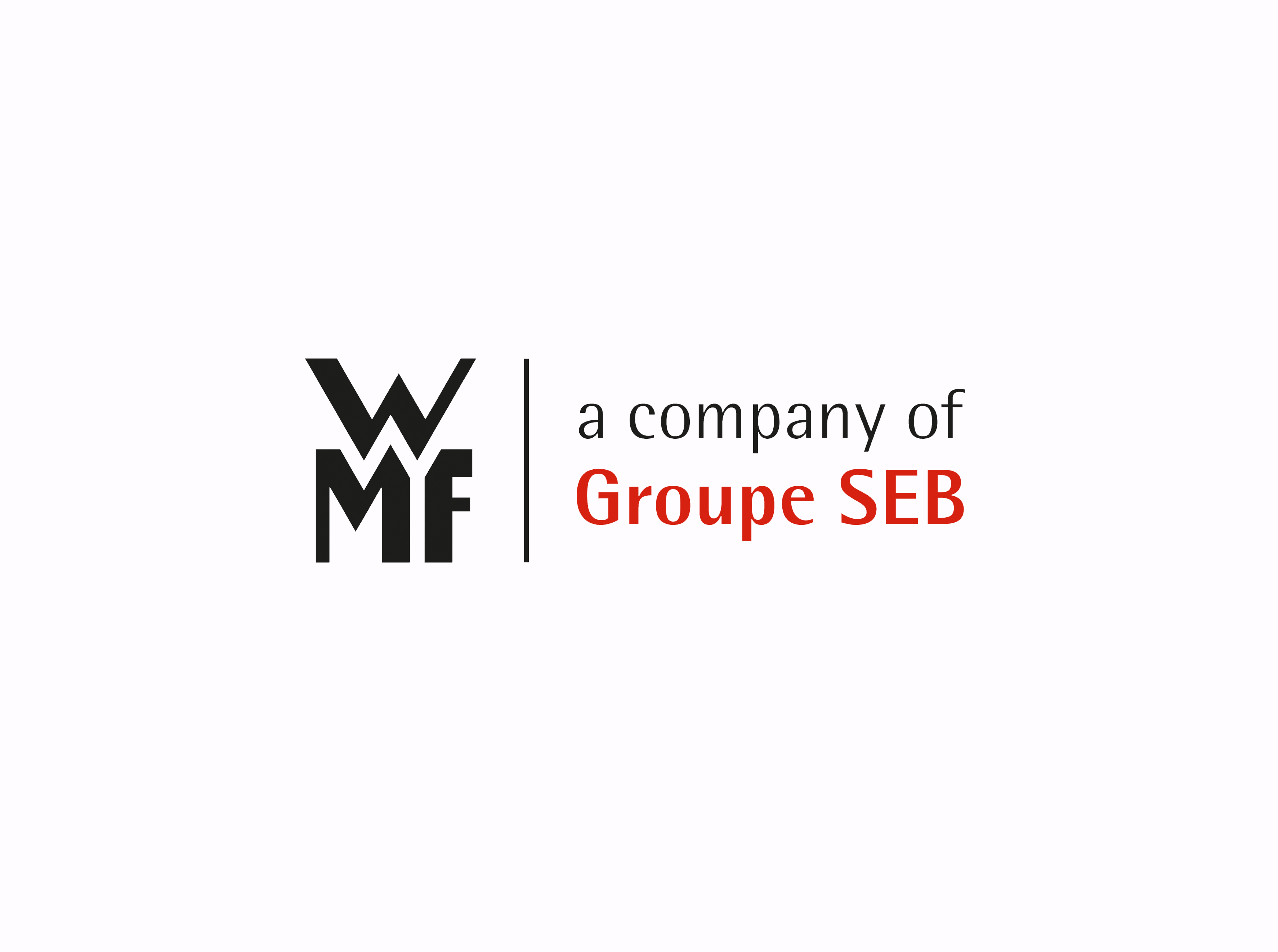 WMF Group wird zu WMF