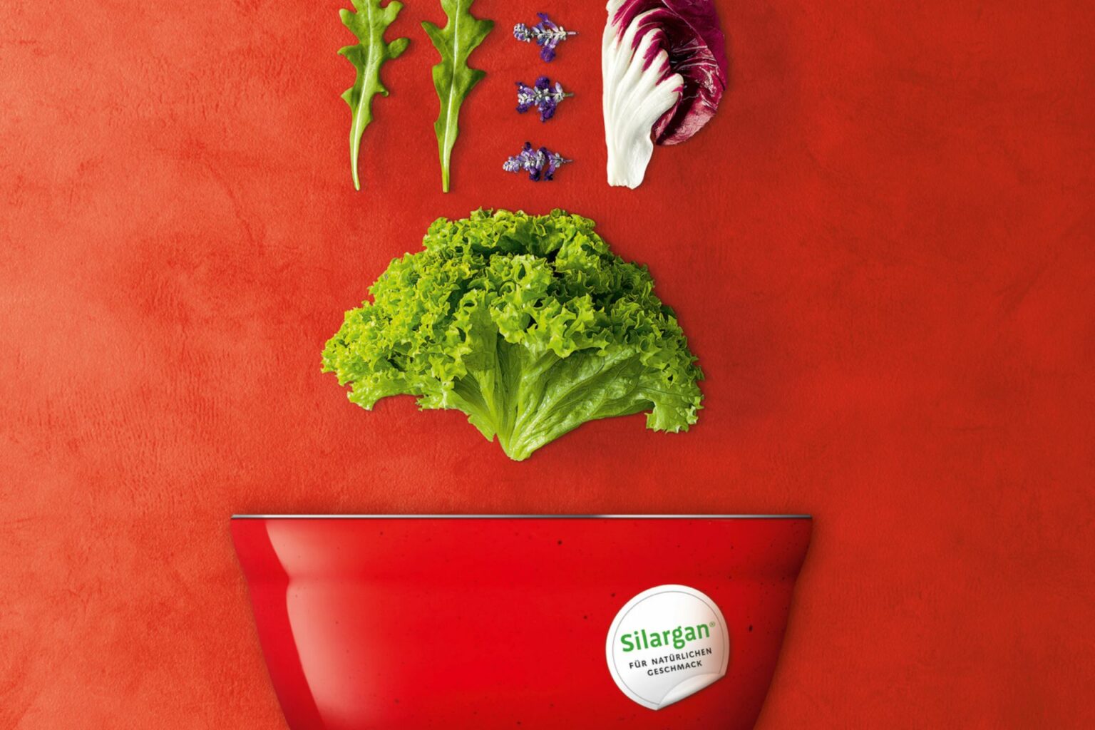 Silit - Information & Insights on the WMF brand