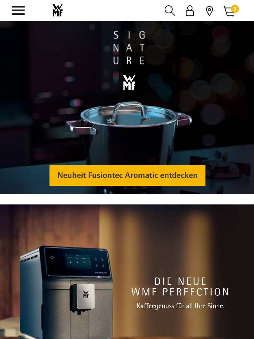 Business Areas and Brand Insights - WMF GmbH